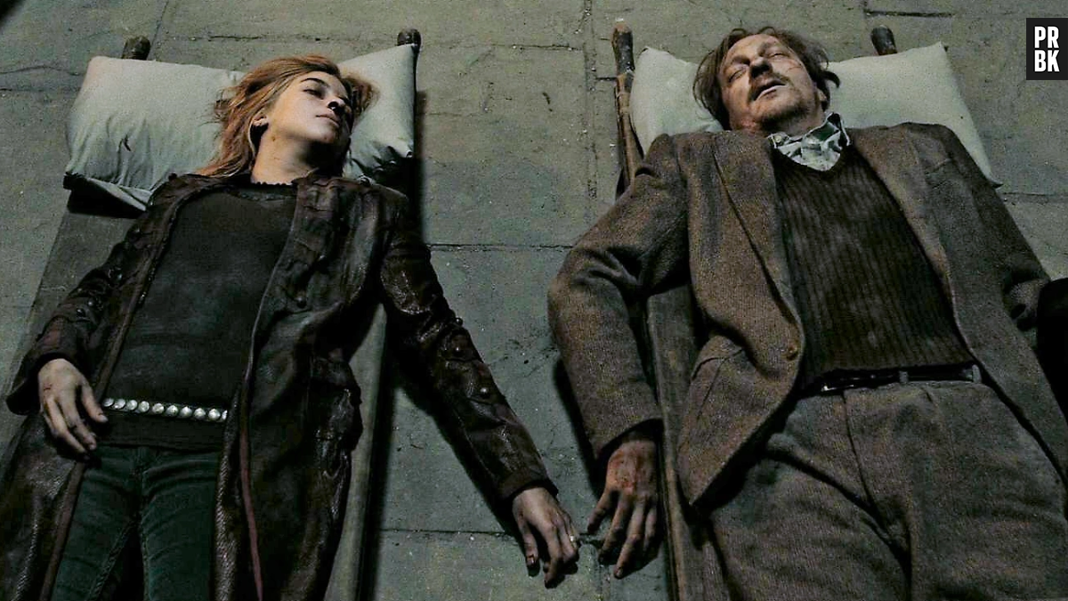 Foto: "Harry Potter": Ted Lupin, filho de Remo Lupin (David Thewlis) e ...