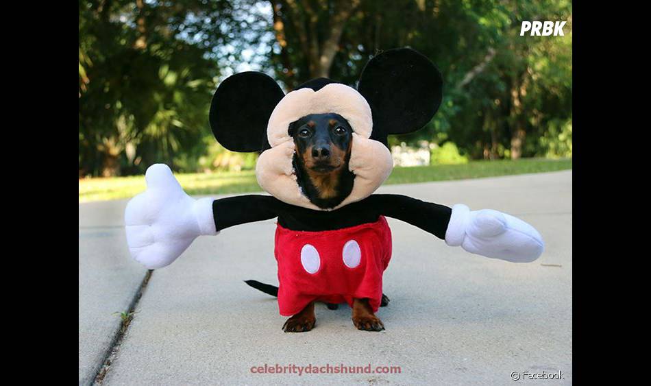 Crusoe versão Mickey para quem é gosta dos clássicos da Disney - Purebreak