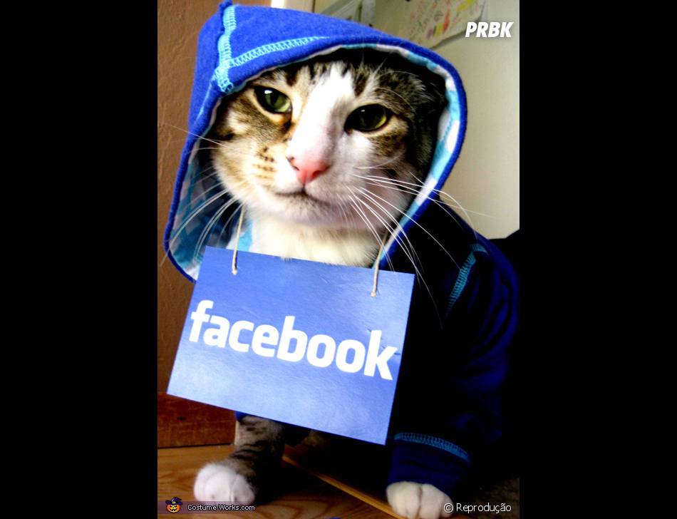 Um gato geek de verdade, tem que vestir a camisa das redes sociais ...