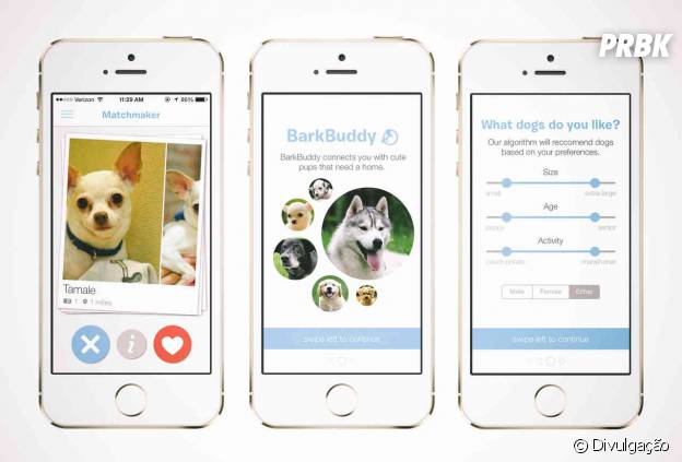 Conheça os 5 melhores aplicativos e redes sociais para o seu pet ...