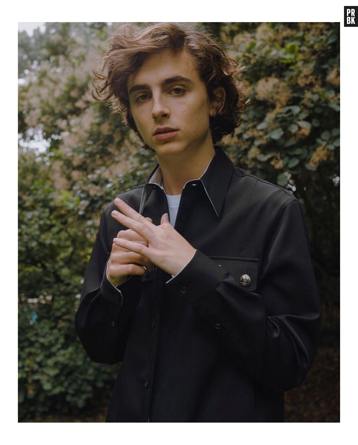 Foto: Timothée Chalamet já fez photoshoot com a Vogue - Purebreak