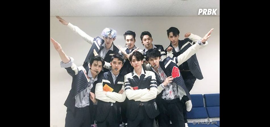 Grupo: EXO. Fandom: Exols. - Purebreak