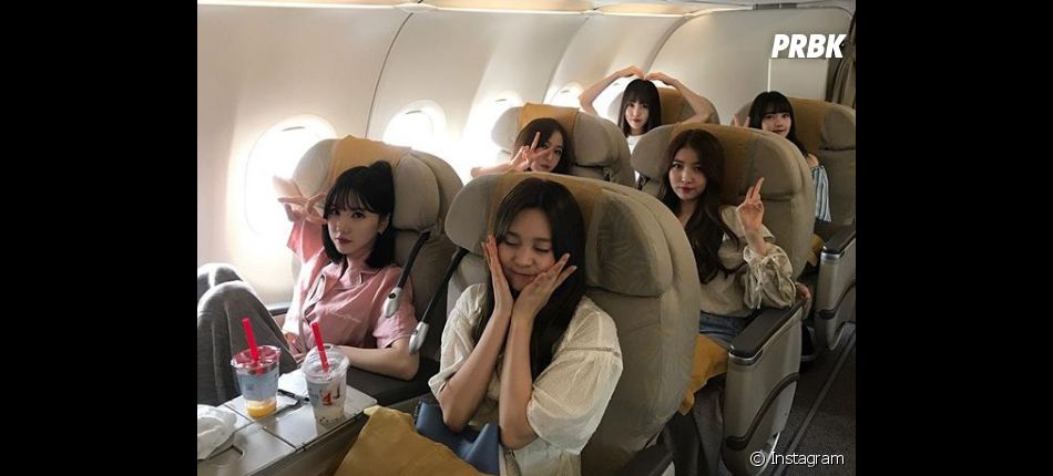 Grupo: GFRIEND. Fandom: BUDDY. - Purebreak