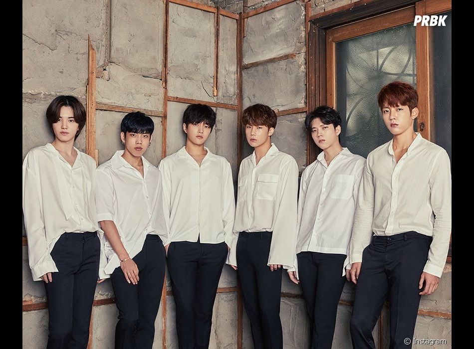 Grupo: Infinite. Fandom: INSPIRIT. - Purebreak