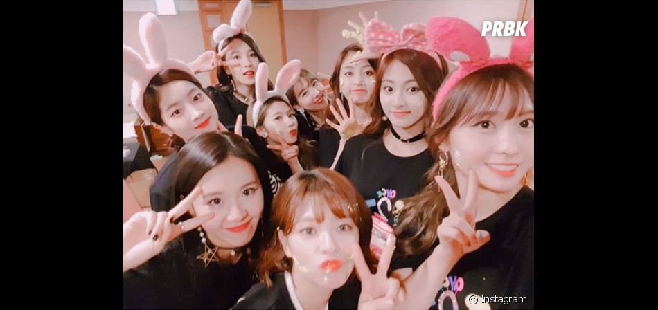 Grupo: TWICE. Fandom: ONCE. - Purebreak