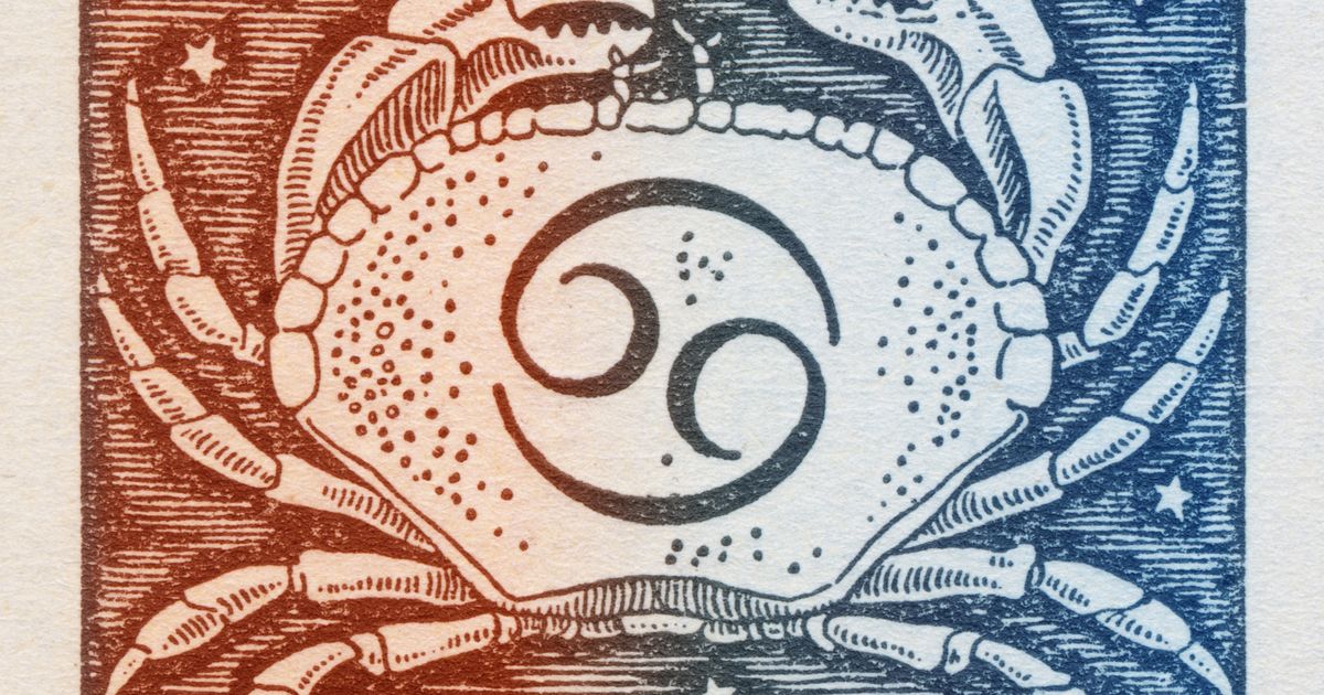 Quantos % canceriano você é? Faça o teste e descubra - Purebreak