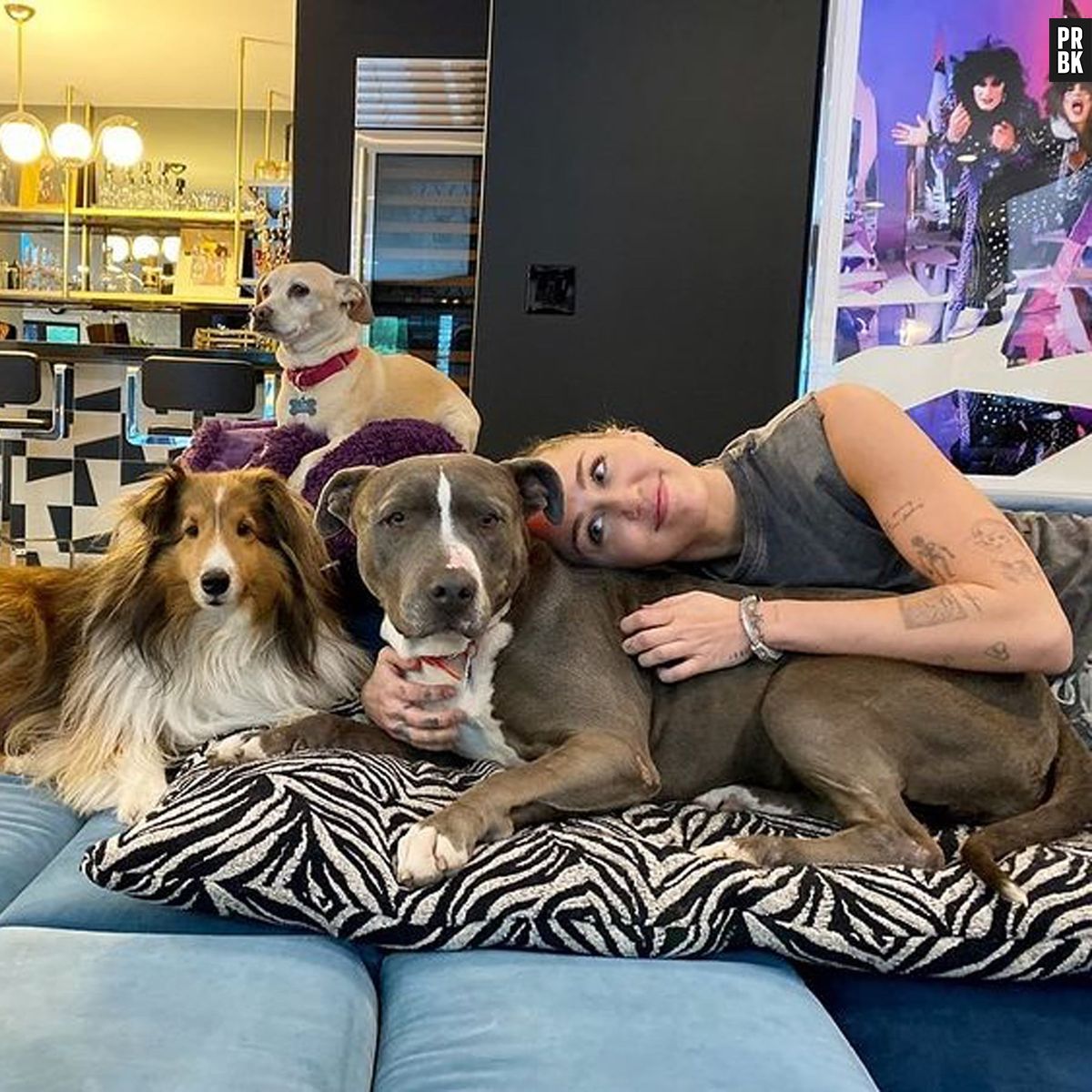 Foto: Miley Cyrus é outra artista que tem vários pets - Purebreak