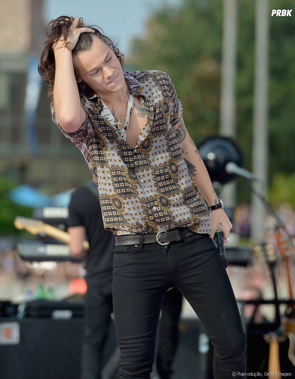 Costumam fazer parte do visual do Harry Styles camisas com estampas ...