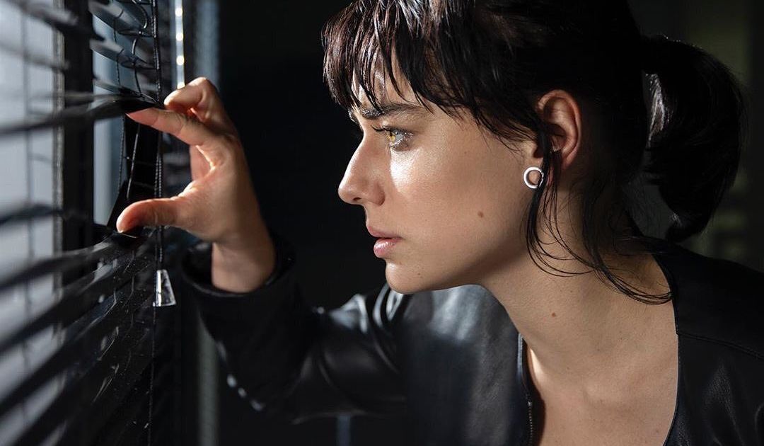Elenco da série "Reality Z" dá dicas sobre confinamento para quem está ...