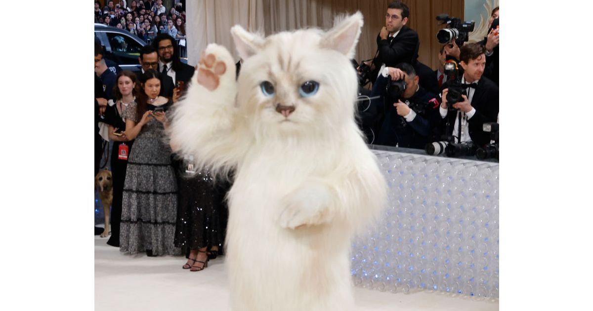 Jared Leto surpreende ao aparecer fantasiado de gato para o Met Gala ...
