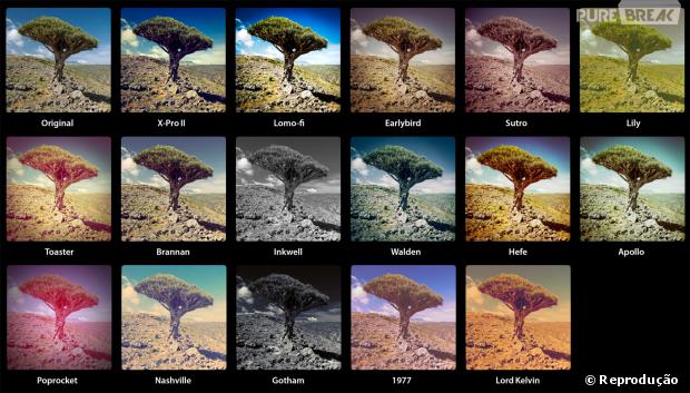 Instagram chega aos 200 milhões de usuários: entenda 5 hábitos ...