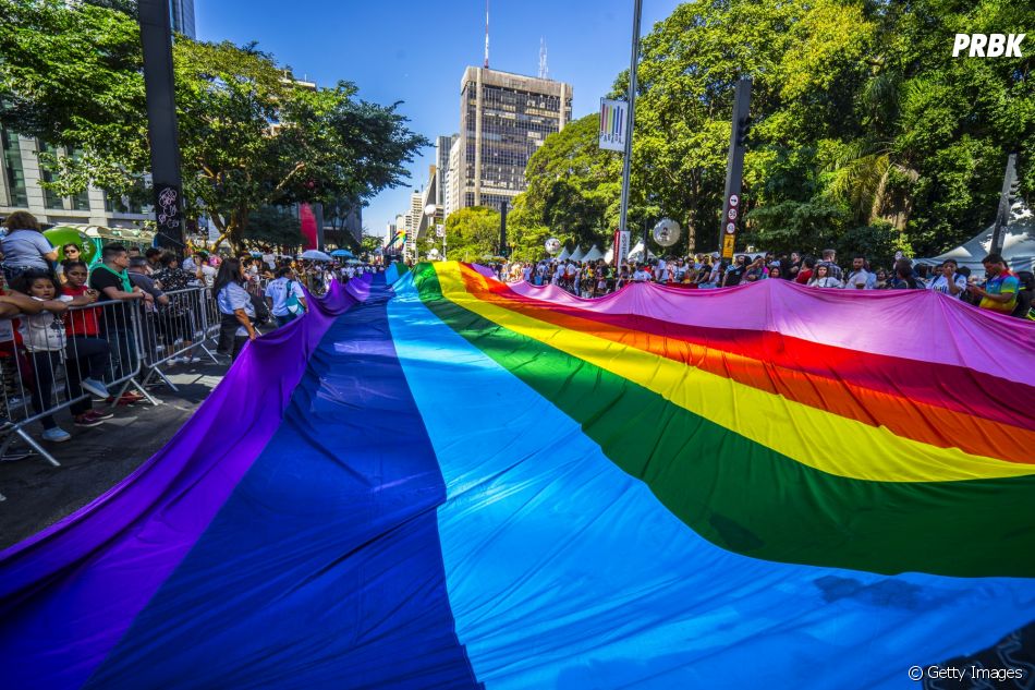 Parada do Orgulho LGBT 2019: confira os melhores posts do evento ...