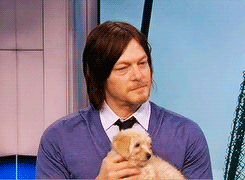 Norman Reedus, de "The Walking Dead": confira 7 curiosidades sobre o ...