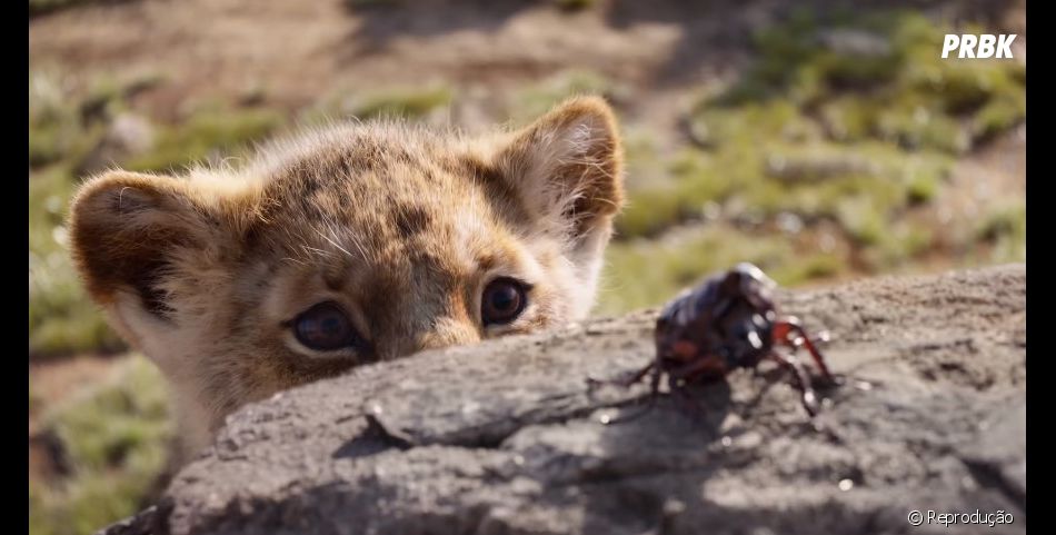 Filme O Rei Leão: Simba é expulso do reino em trailer inédito - Purebreak