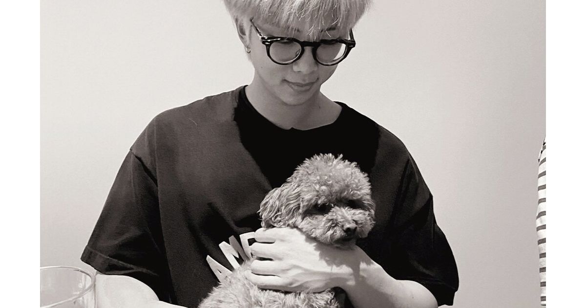 RM, do BTS, sempre posta foto com pets nas redes sociais - Purebreak