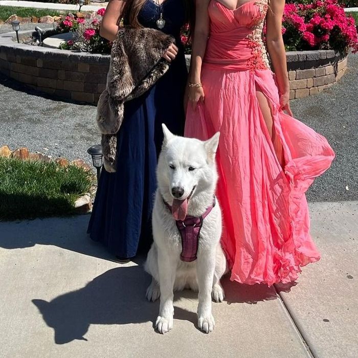 Letícia Maia defende Kat Torres de acusações de tráfico humano e rede ...