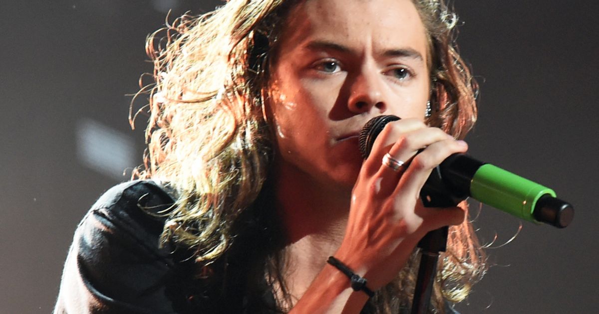 Harry Styles - confira a biografia, notícias e últimas fotos - Purebreak